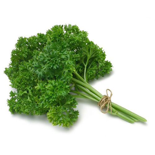 แคลอรี่ พาร์ลี่ย์ | www.CalForLife.com